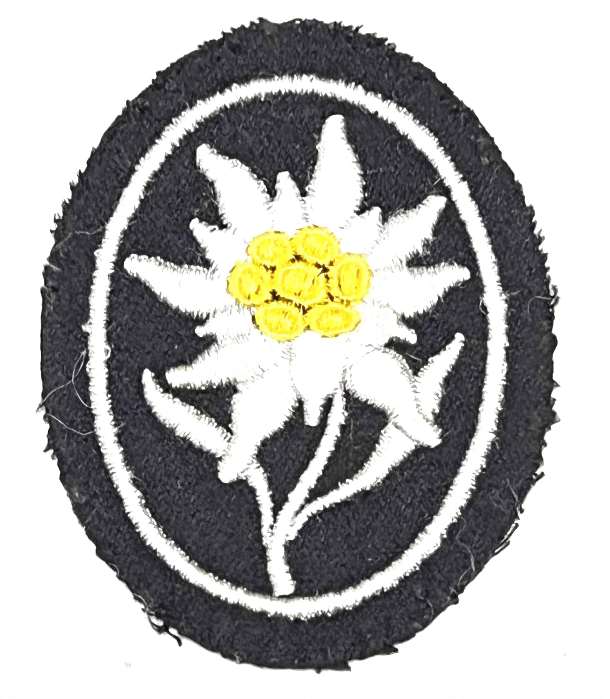 WW2 German SS Edelweiss on Oval Black Wool - Enemy Militaria